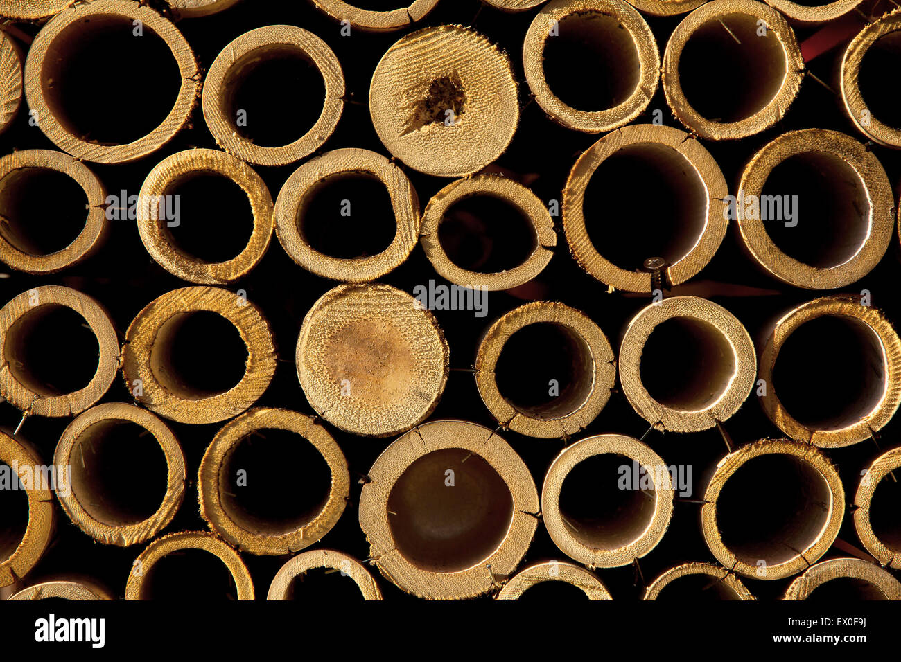stack of bamboo cuts Stock Photo - Alamy