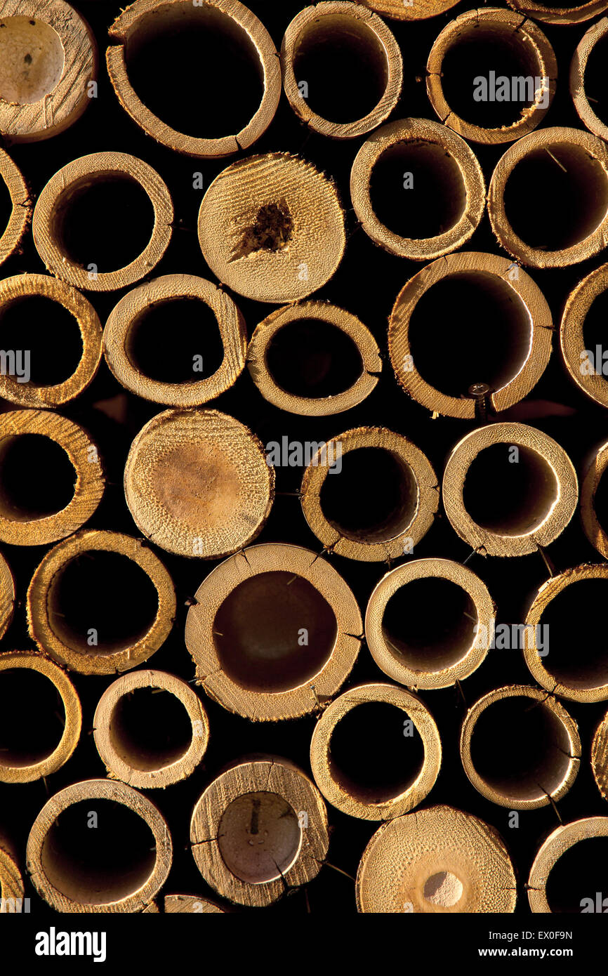 stack of bamboo cuts Stock Photo - Alamy