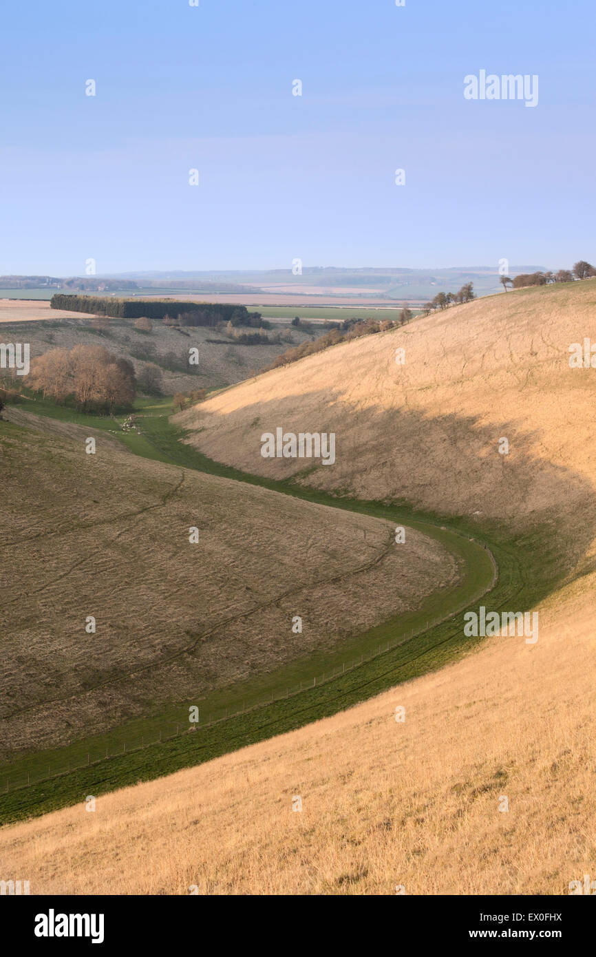Horse dale hi-res stock photography and images - Alamy