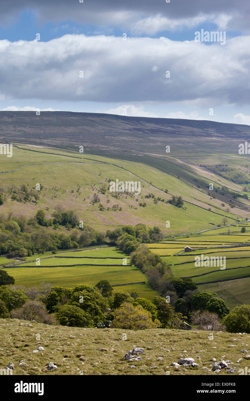 View across the valley of Littondale with blue sky overhead in spring ...