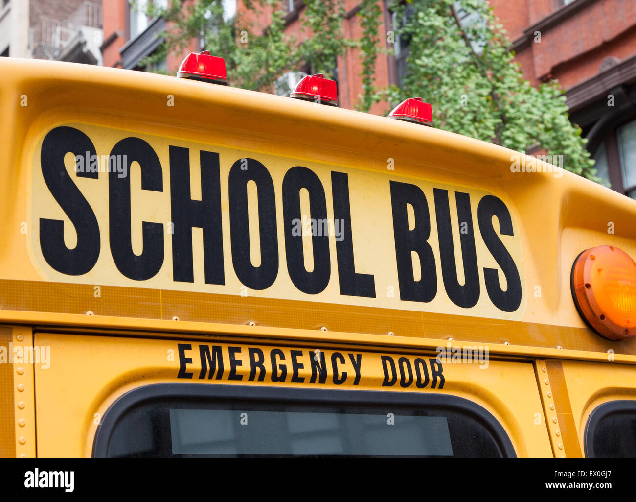 Rear end of NYC school bus Stock Photo - Alamy