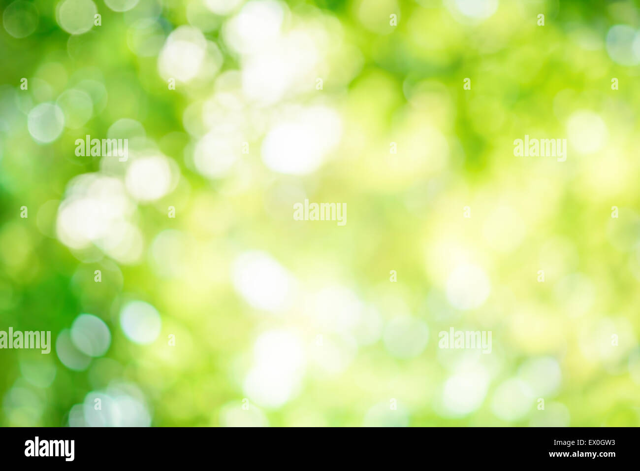 Nature Out Of Focus Background Out Of Focus Nature Background Images