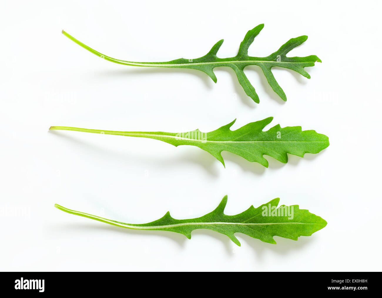 Rocket leaves hi-res stock photography and images - Alamy