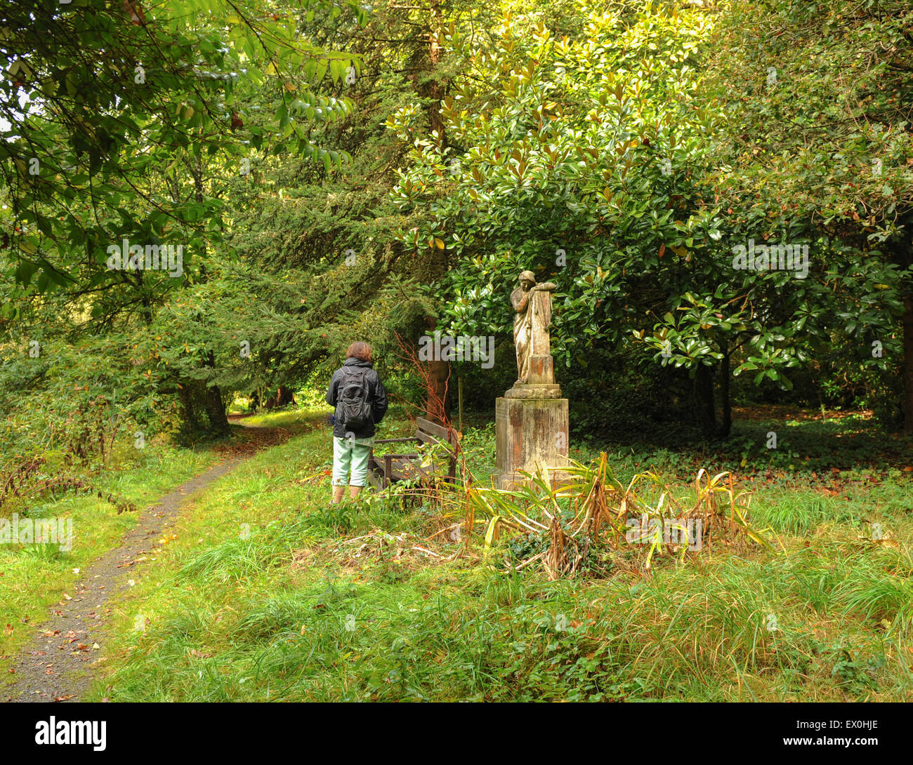 Female on a Woodland Walk at Taperly Park, Near Bideford, on the North ...