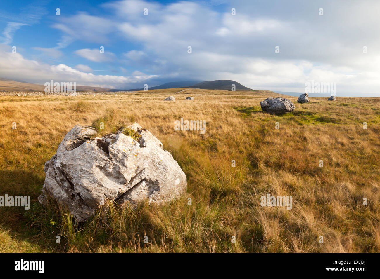 Scales moor hi-res stock photography and images - Alamy