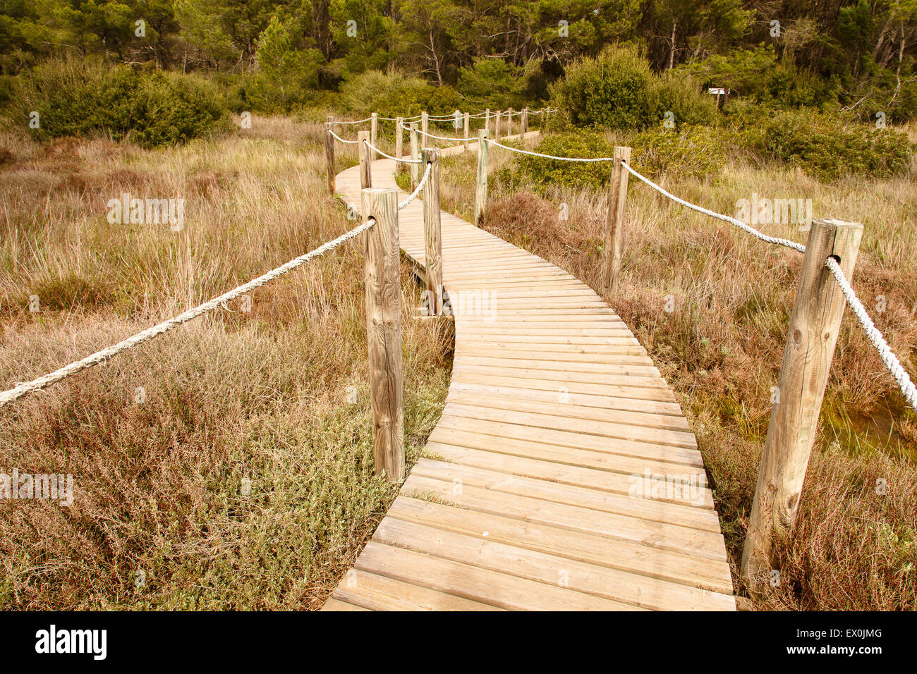 Wood footbridge. S´Albufera des Grau. Minorca. Balearics islands. Spain ...
