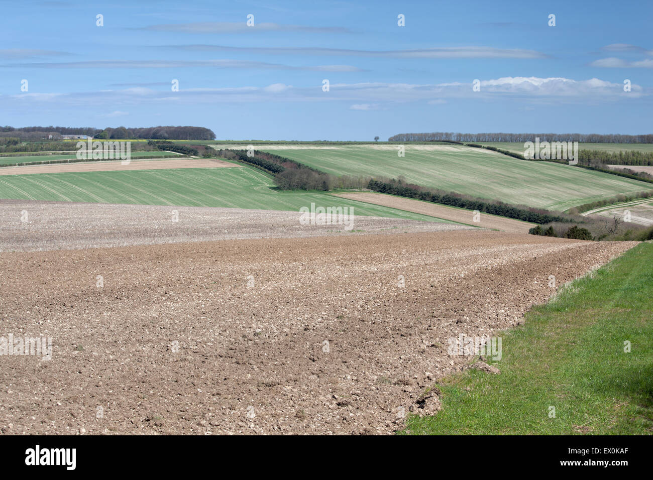 Patchwork of fields/agricultural land in Spring at Thixendale in the ...