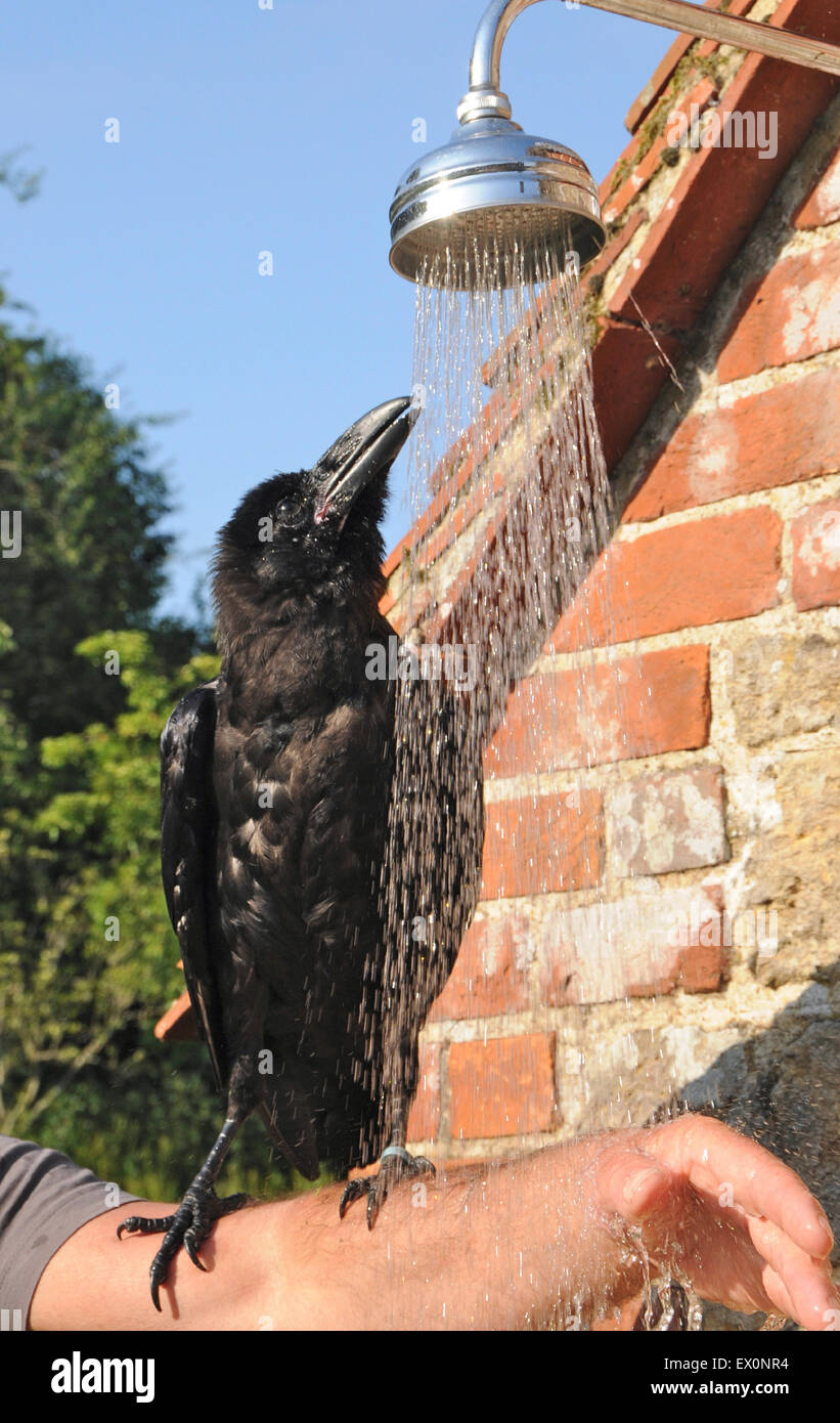 Cooling off heatwave hi-res stock photography and images - Alamy