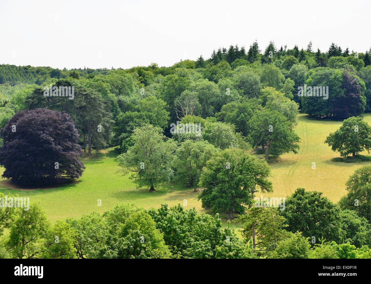 The rolling hills and English Countryside in Summer Stock Photo - Alamy