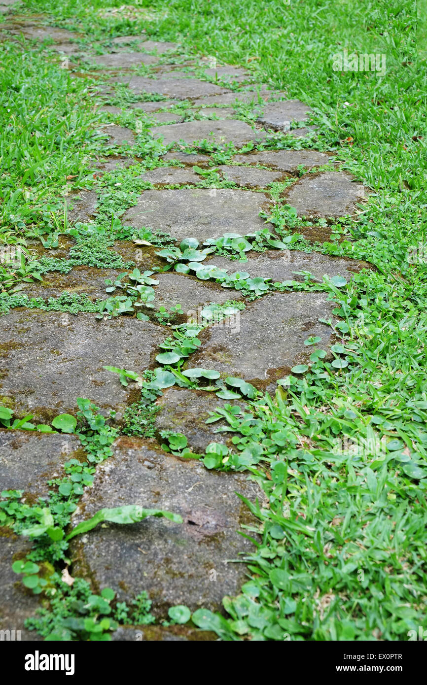 Paved path in garden hi-res stock photography and images - Alamy