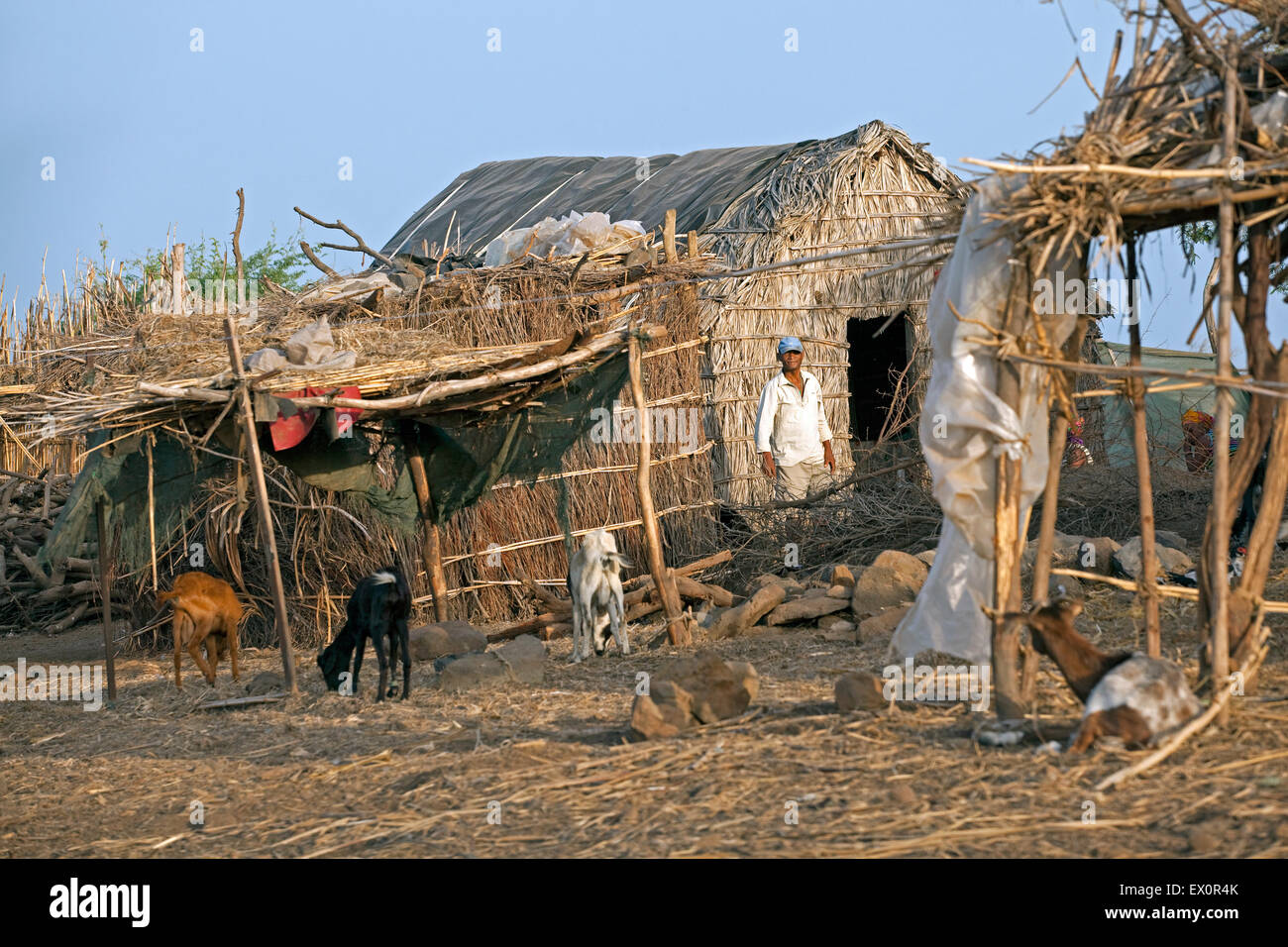 African farm with hut hi-res stock photography and images - Alamy