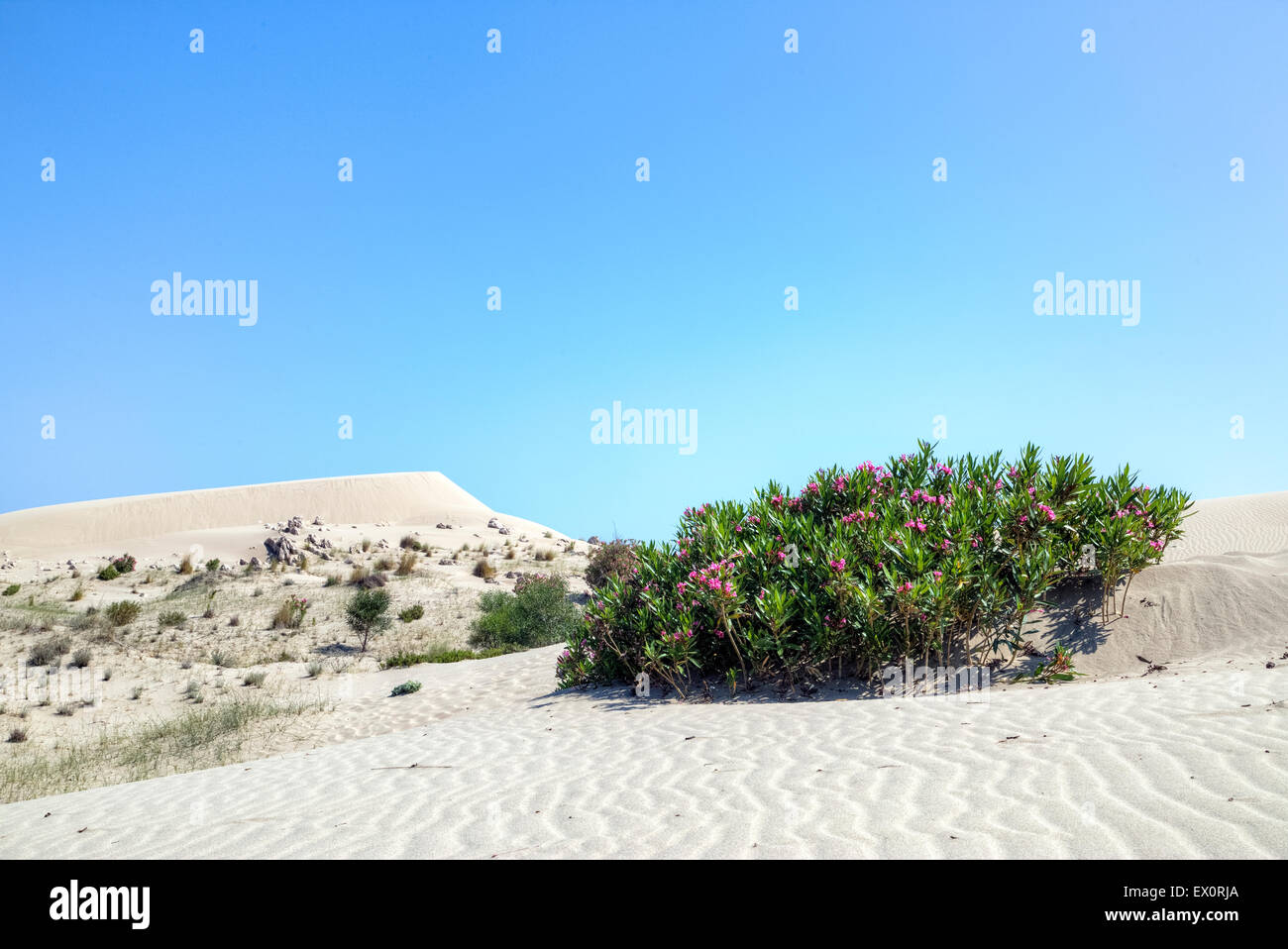 Patara beach, Lycia, Kalkan, Antalya, Turkey Stock Photo - Alamy