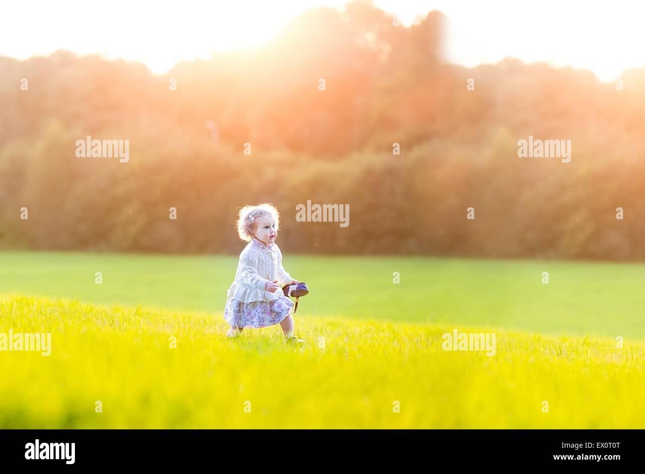 Happy family baby running field hi-res stock photography and images - Alamy