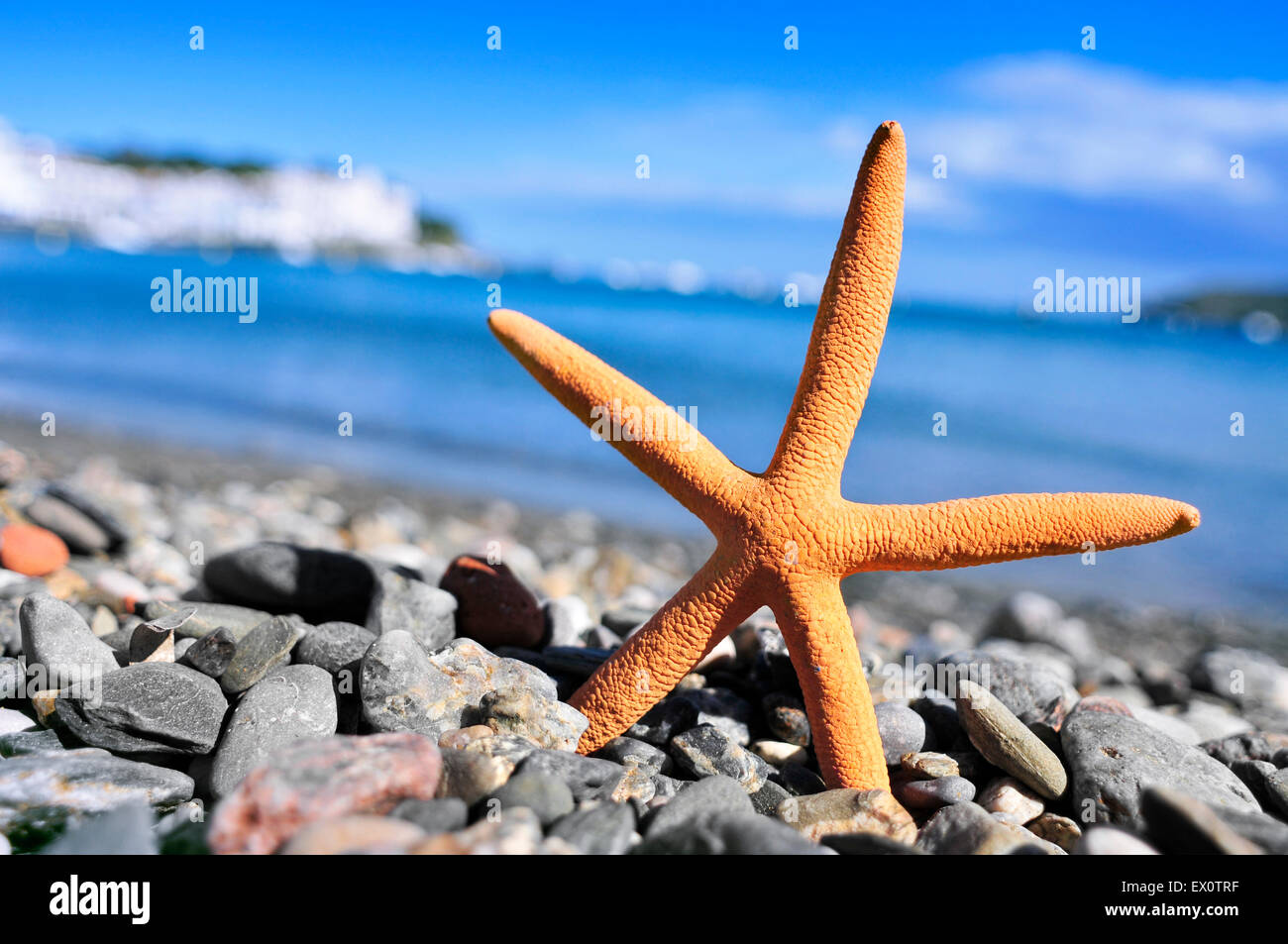 Shingle seashore sea hi-res stock photography and images - Alamy