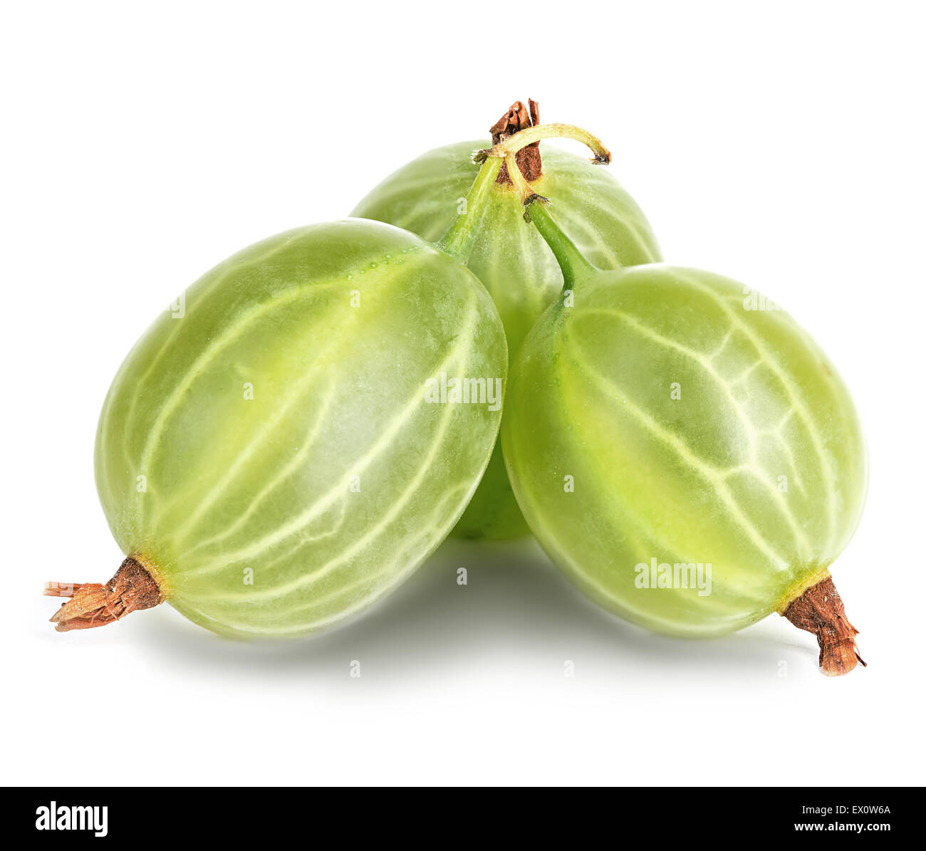 Gooseberry isolated on white background Stock Photo - Alamy