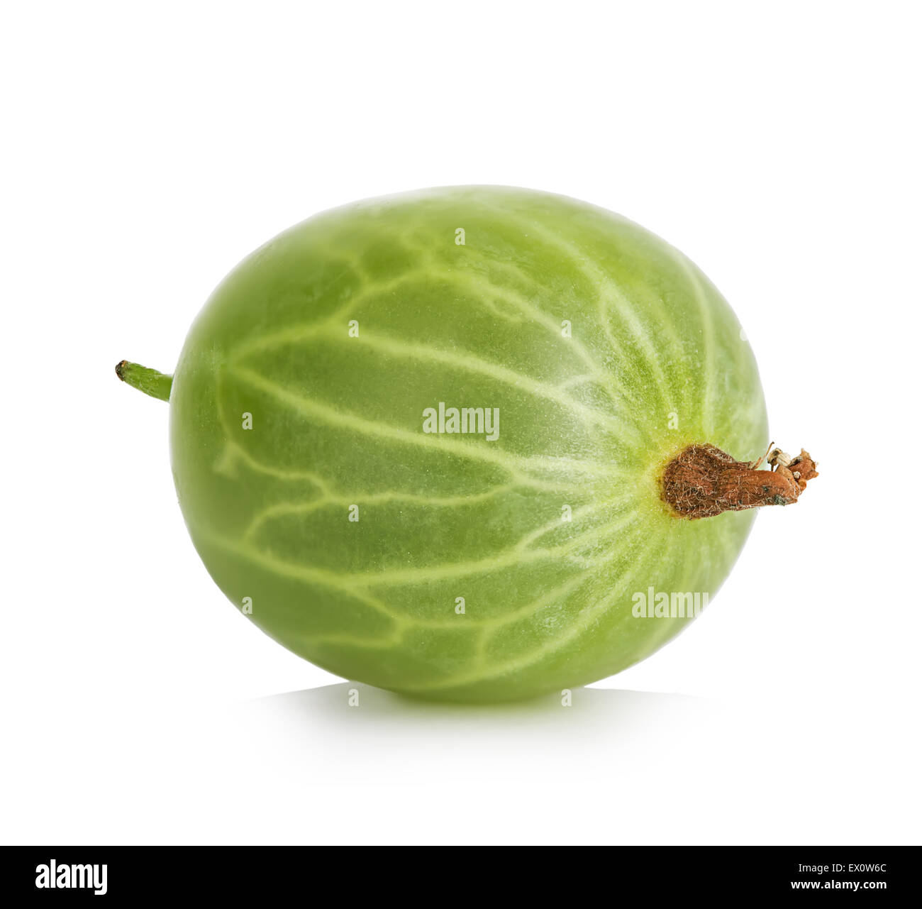 Gooseberry isolated on white background Stock Photo - Alamy