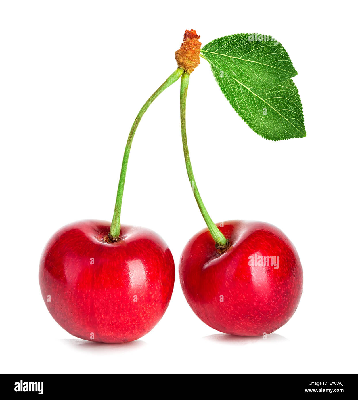 Cherry isolated on white background Stock Photo - Alamy