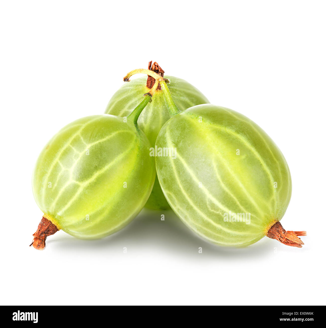 Gooseberry isolated on white background Stock Photo - Alamy