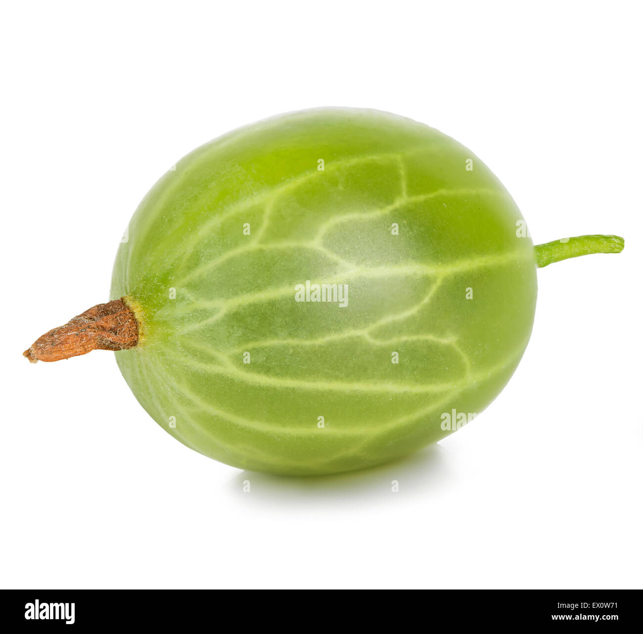 Gooseberry isolated on white background Stock Photo - Alamy