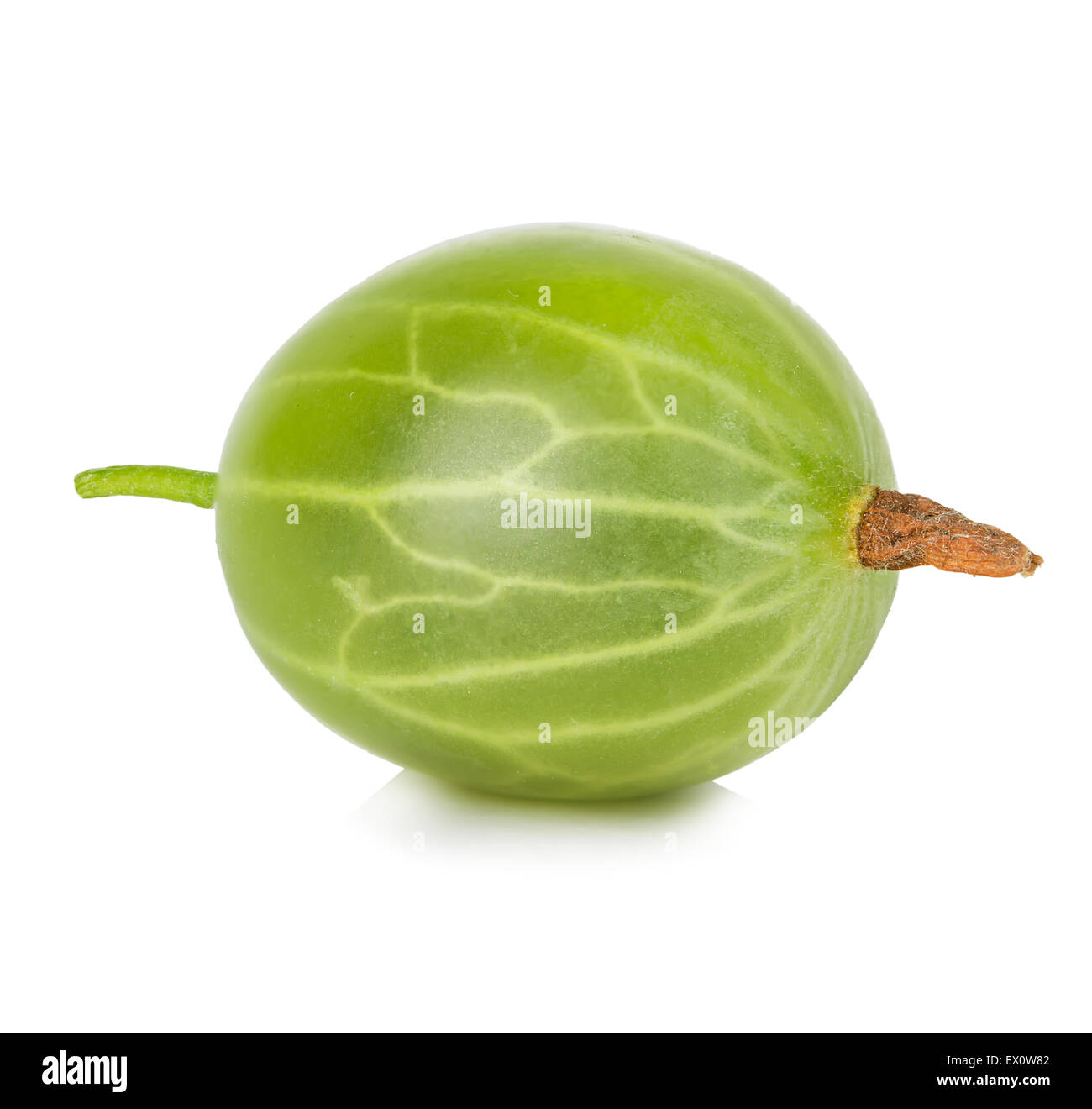 One fresh green gooseberry Cut Out Stock Images & Pictures - Alamy