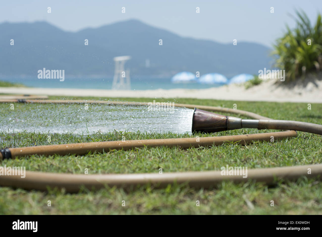 Pool grass hose hi-res stock photography and images - Alamy