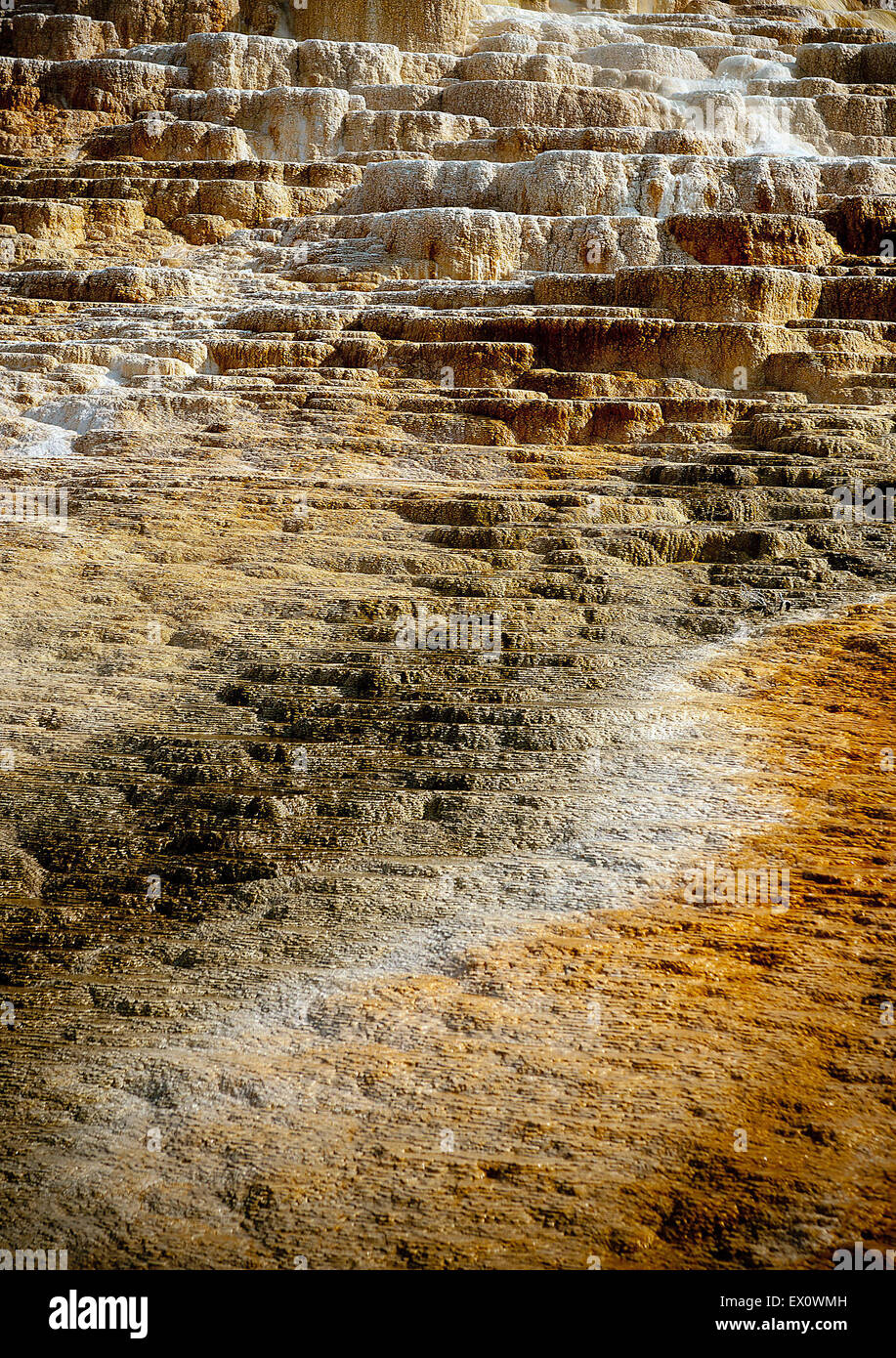 Mammoth Hot Springs formations in Yellowstone National Park, Wyoming ...