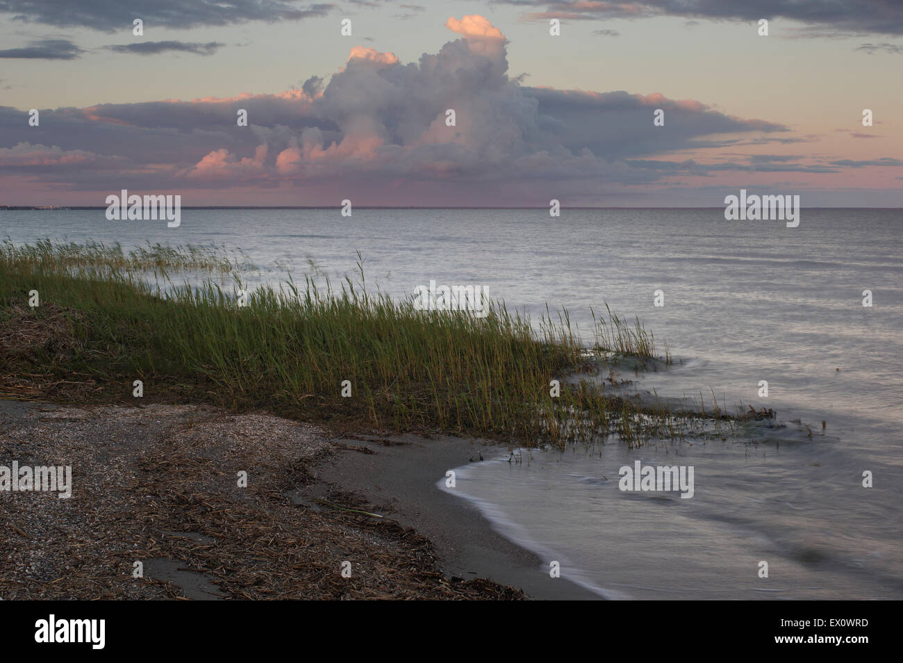 Landscape of estonia hi-res stock photography and images - Alamy