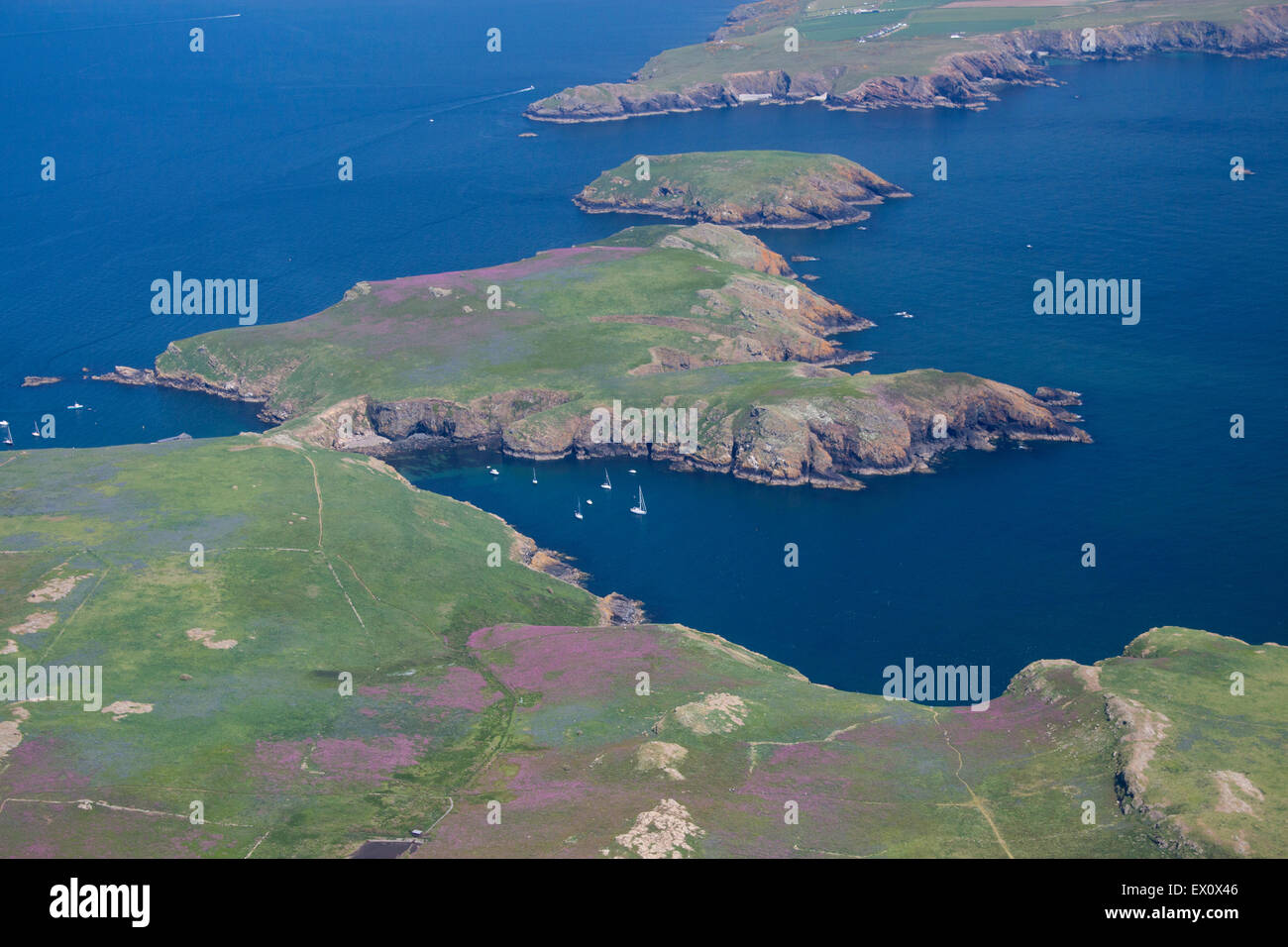 Skomer Island Aerial view in late spring towards mainland Pembrokeshire ...