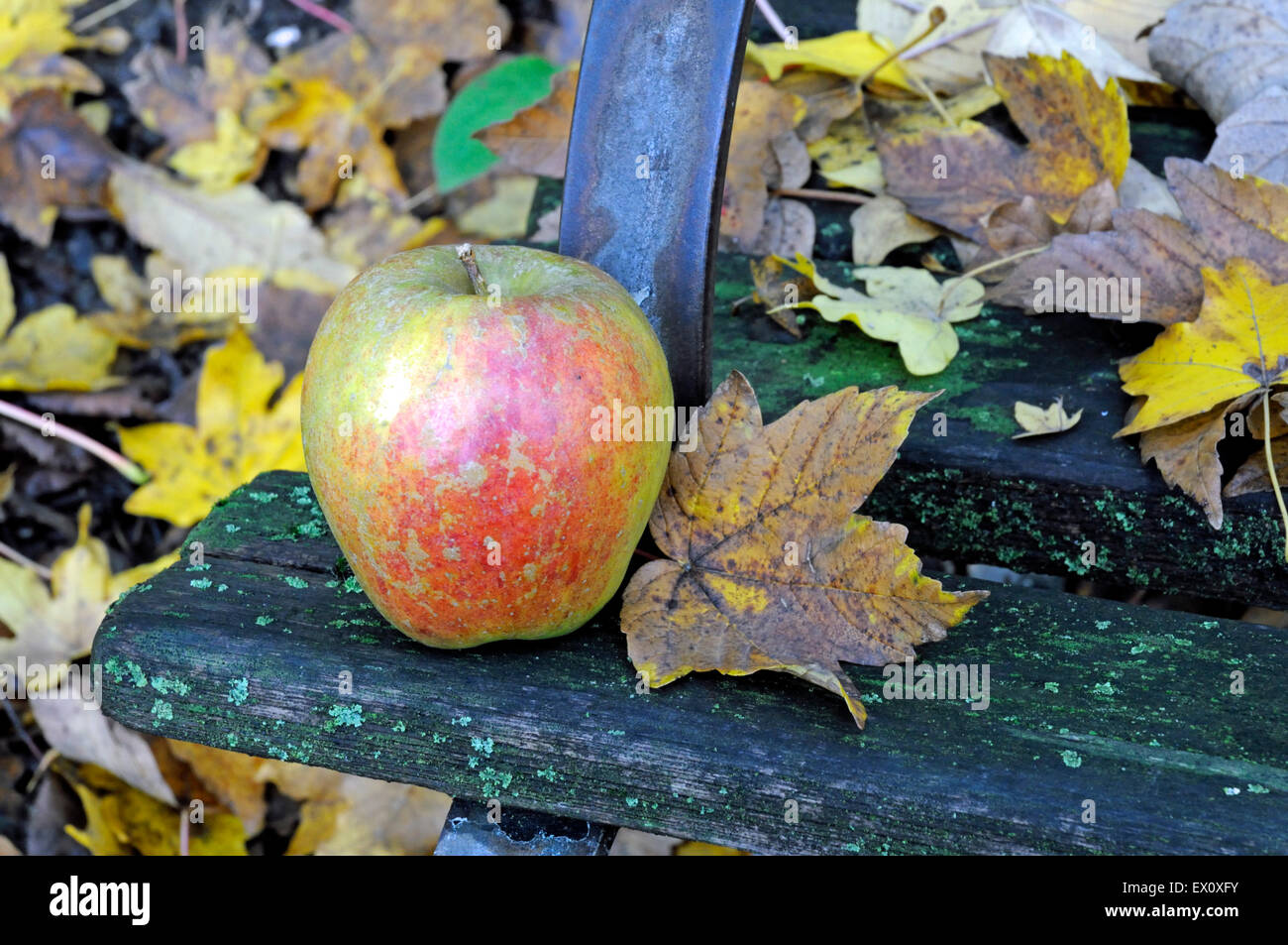 H m tydeman hi-res stock photography and images - Alamy