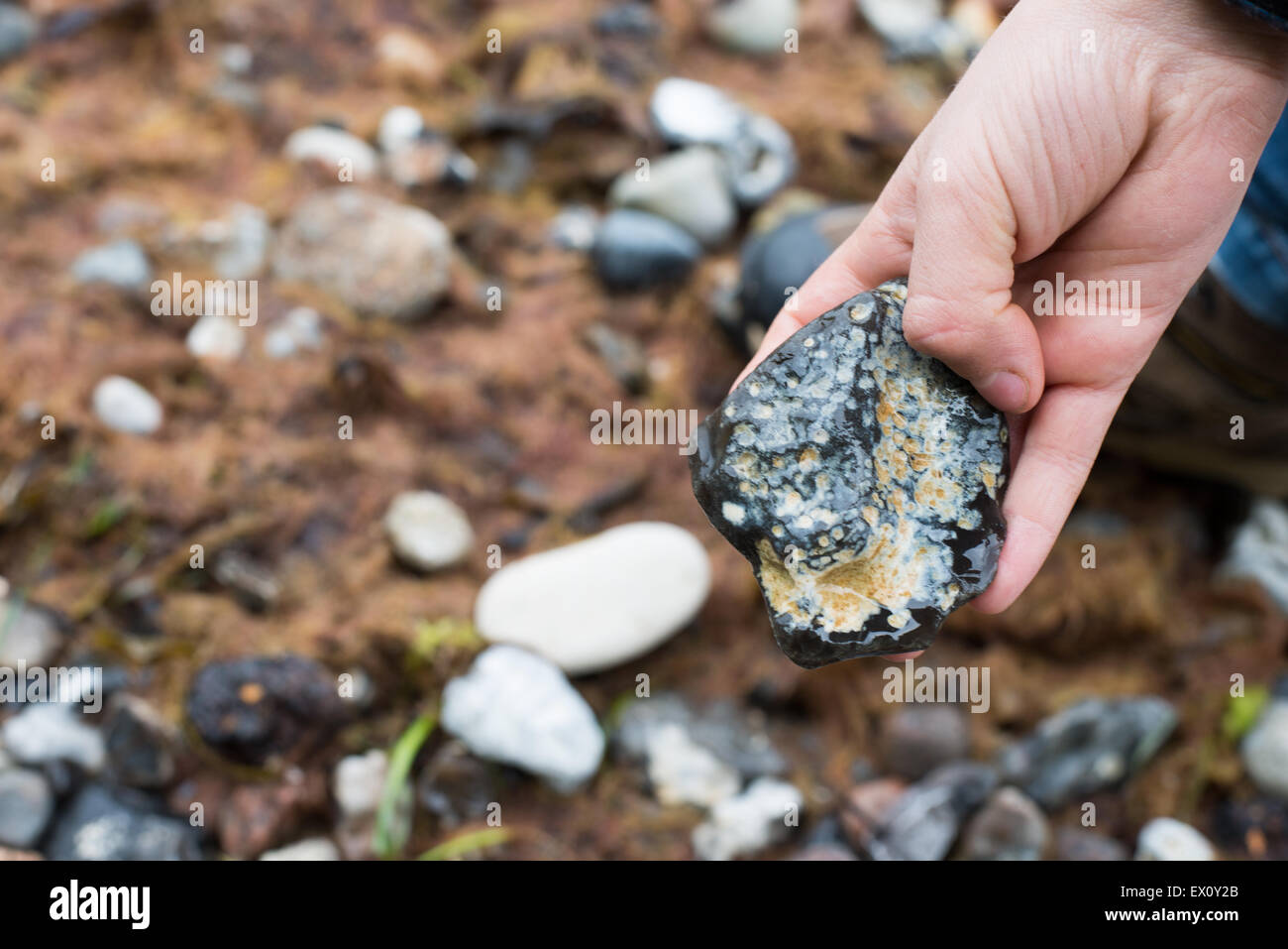 Flint cobble hi-res stock photography and images - Alamy