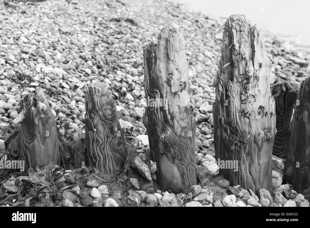 Groin and beach hi-res stock photography and images - Alamy