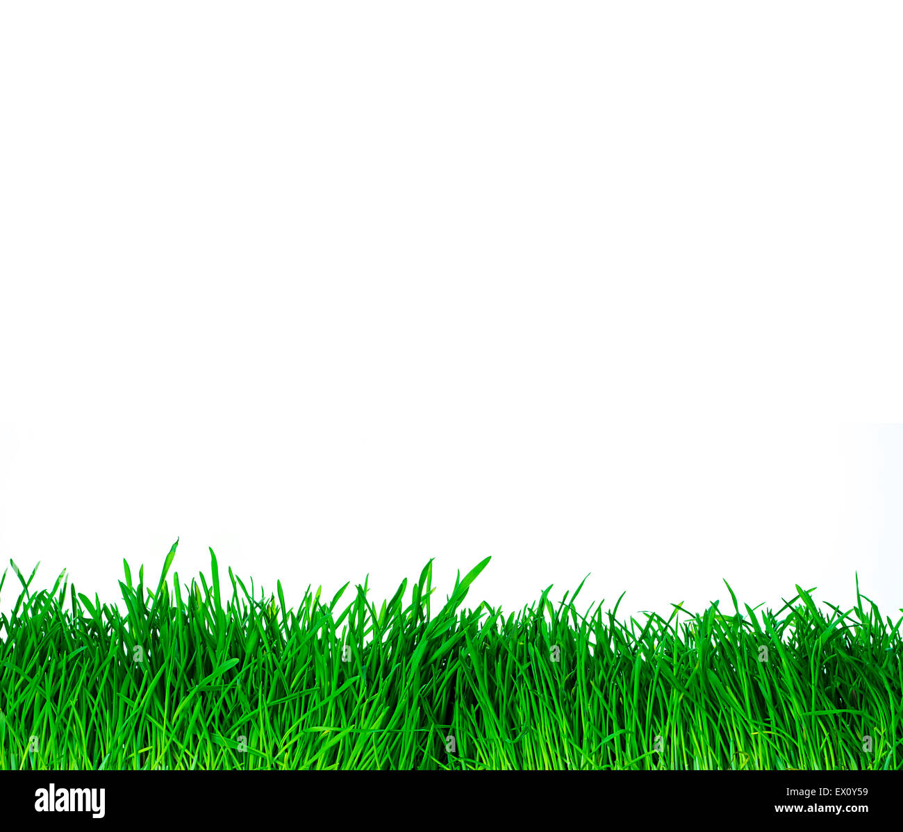 Green high grass hi-res stock photography and images - Alamy