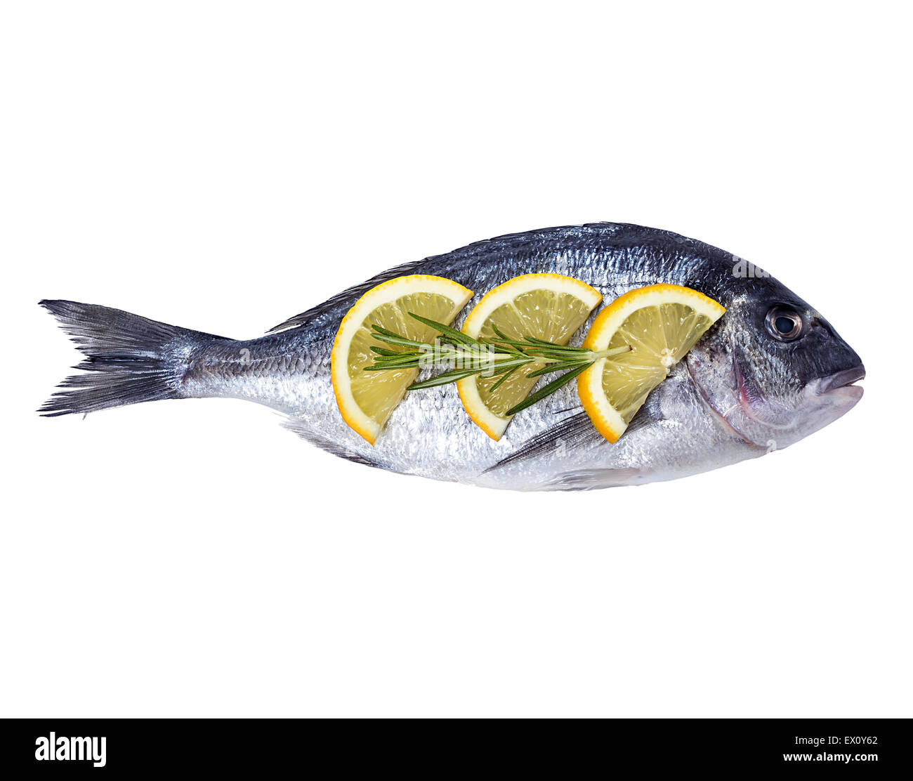 Dorado fish isolated on white background Stock Photo - Alamy