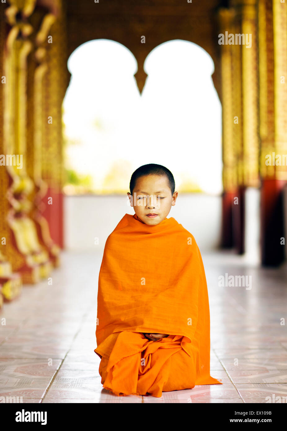 Novice only hi-res stock photography and images - Alamy