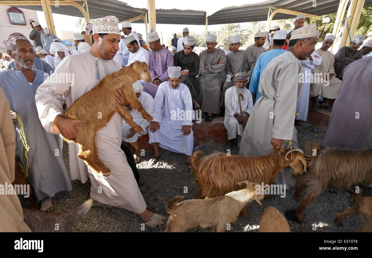 Buying and selling goats at weekly animal market in Nizwa, Oman Stock ...
