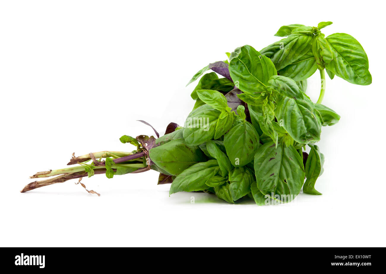bunch of basil isolated on white Stock Photo - Alamy