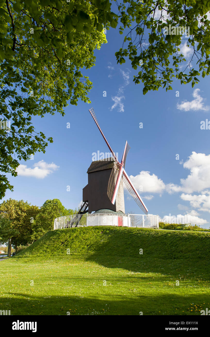 Bruges windmill hi-res stock photography and images - Alamy