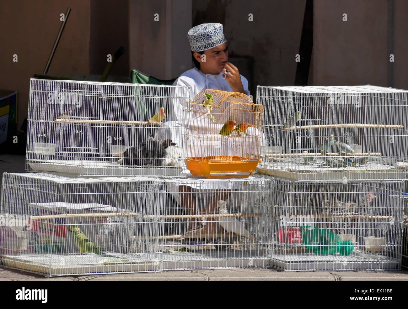 Animals cages hi-res stock photography and images - Alamy