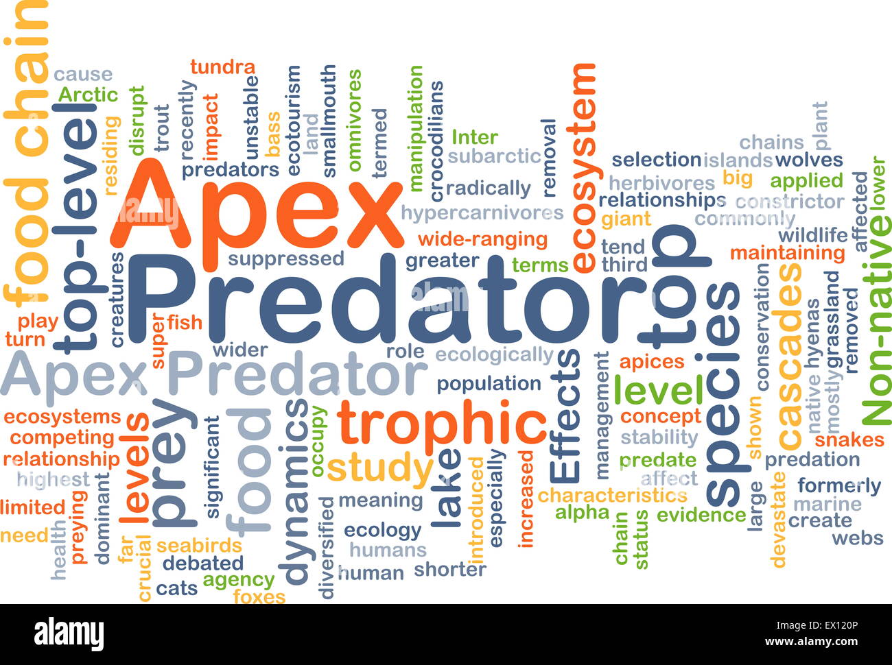 Background concept wordcloud illustration of apex predator Stock Photo ...