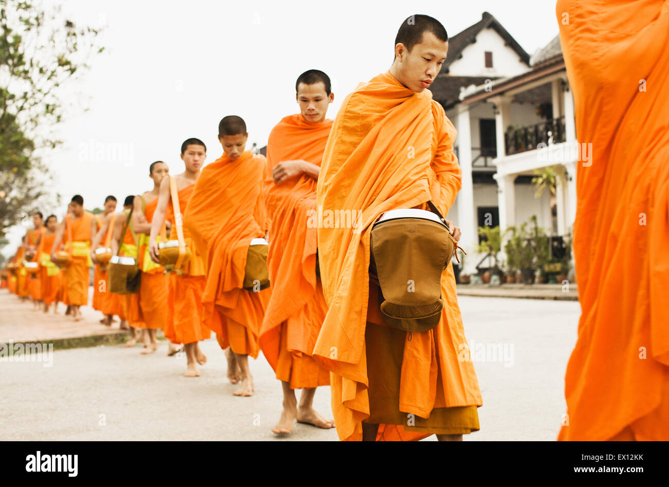 Monks processing for alms in the early morning, a 1,000-year old ...