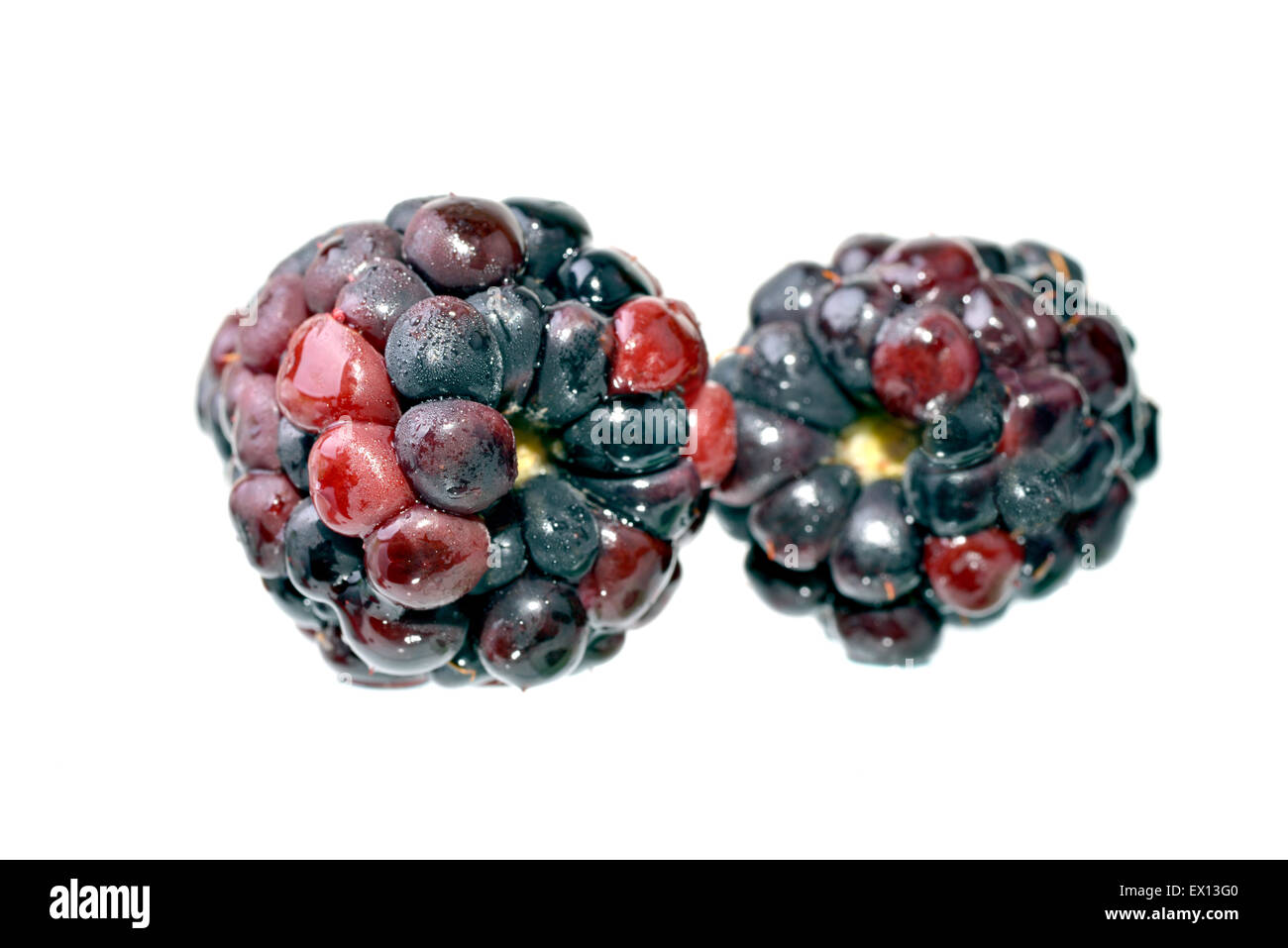 Macro shot blue color Cut Out Stock Images & Pictures - Alamy