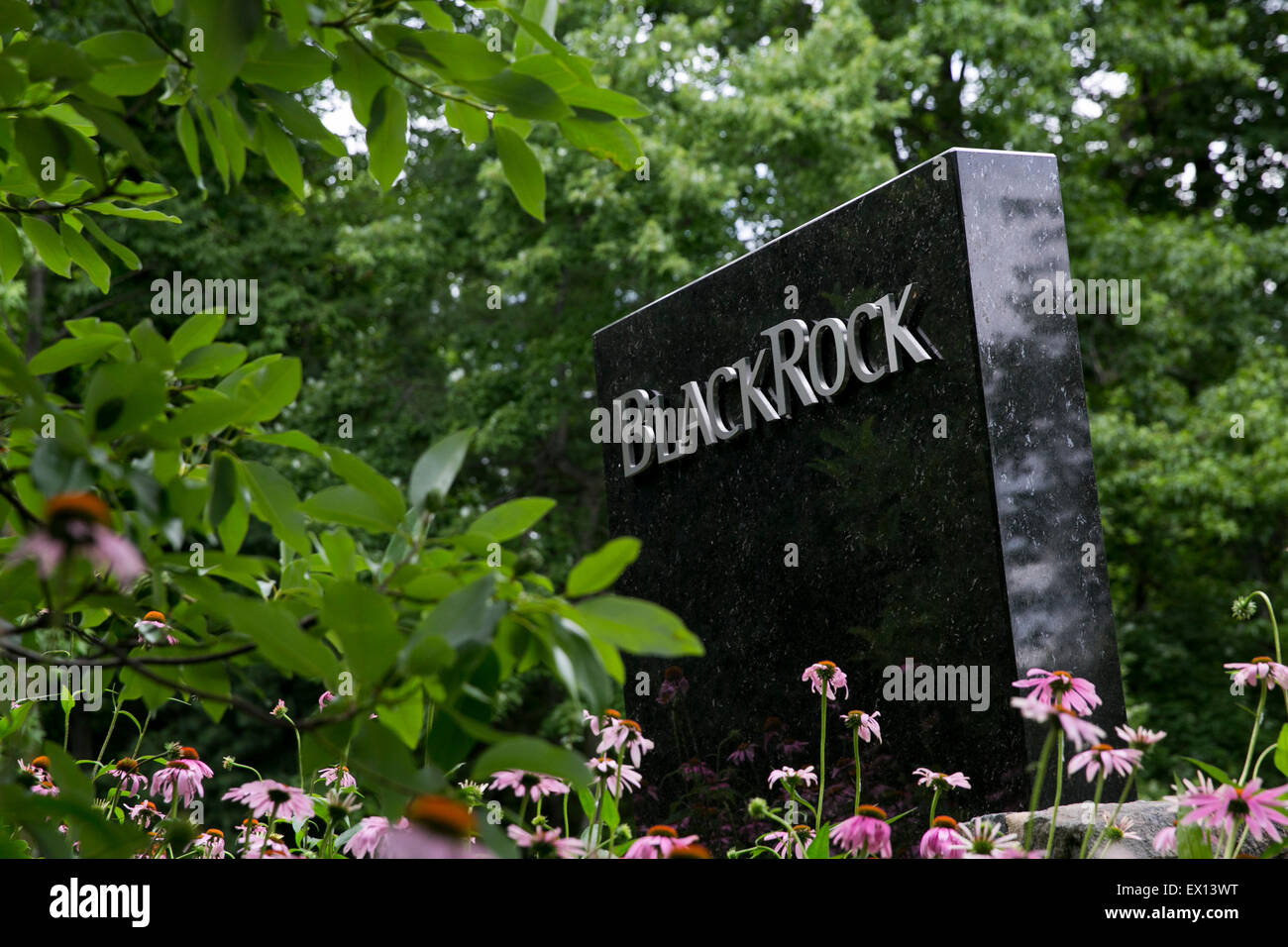Blackrock logo hi-res stock photography and images - Alamy