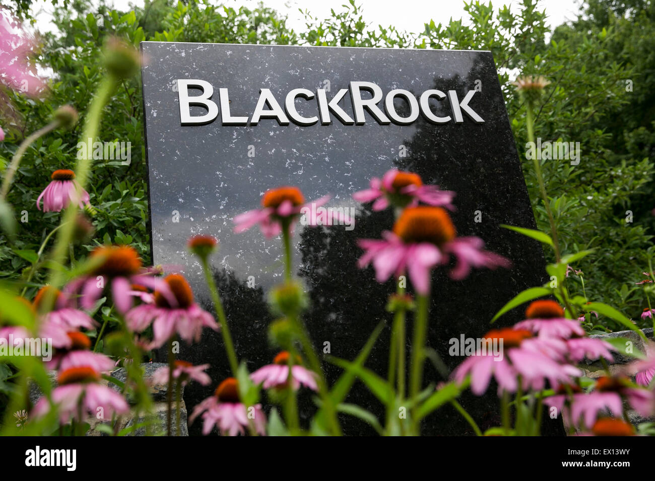 Blackrock logo hi-res stock photography and images - Alamy