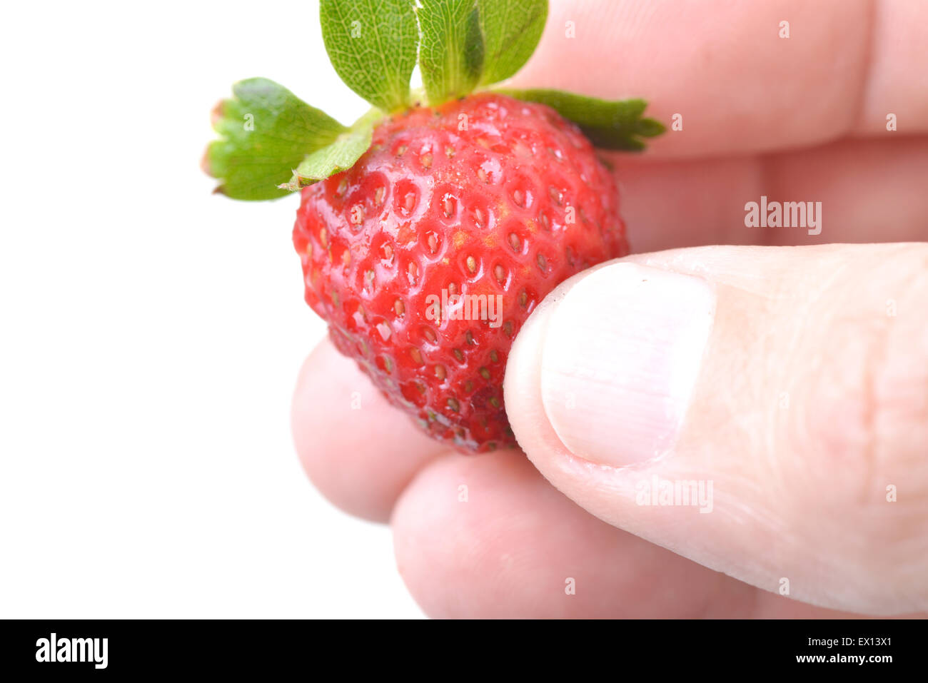 Hand Holding A Strawberry High Resolution Stock Photography and Images ...
