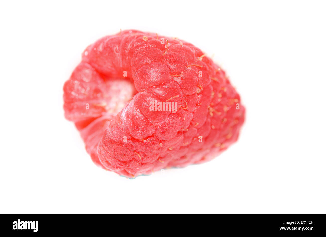 Macro shot of a single Raspberry on a white background Stock Photo - Alamy