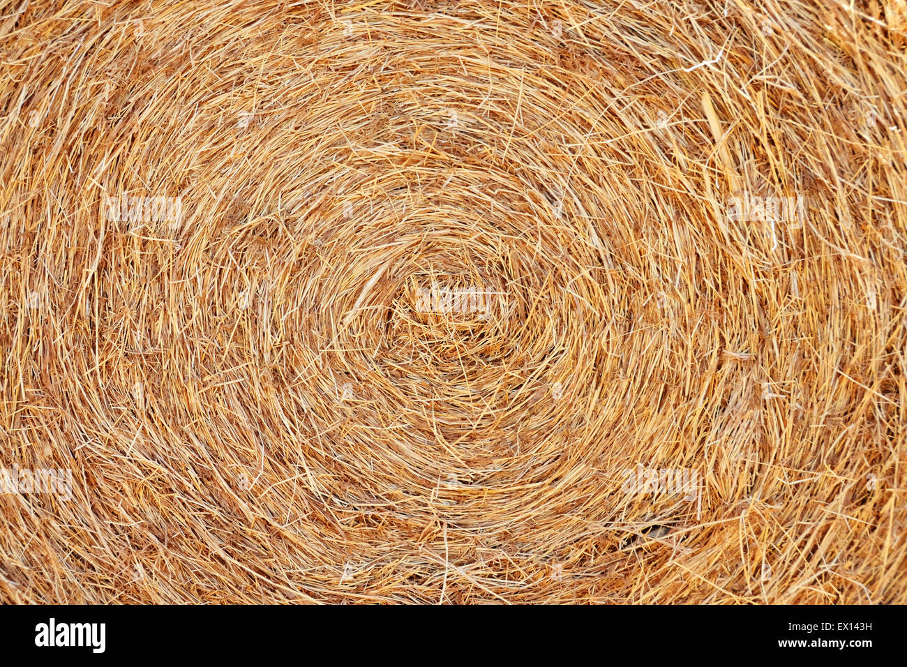 Close up of a hay bale as a textured background Stock Photo - Alamy