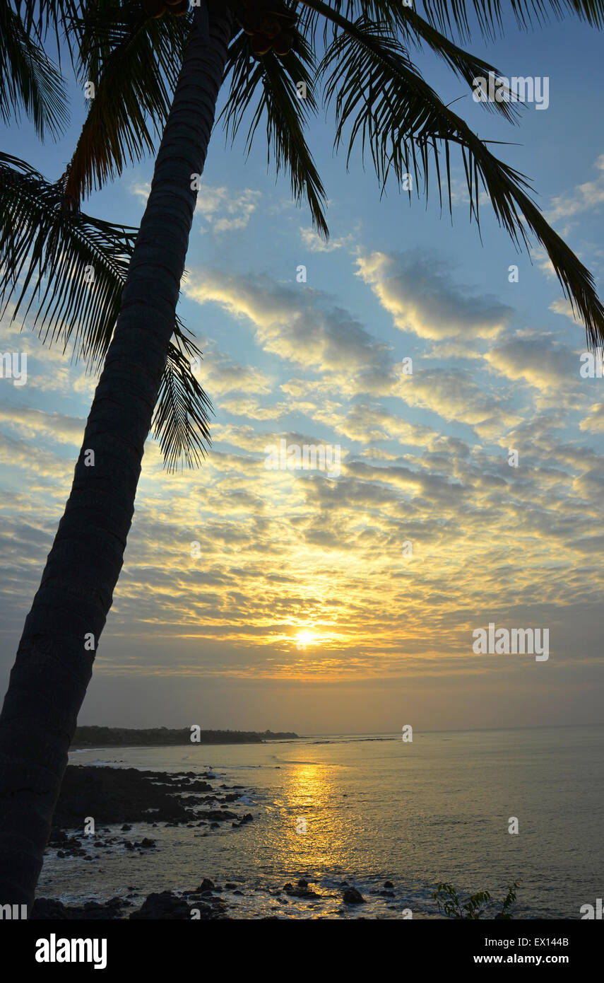 Beautiful sunset behind palm hi-res stock photography and images - Alamy