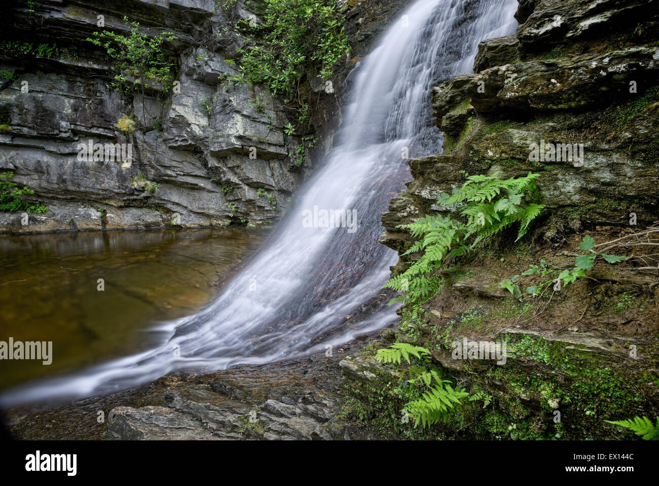 Hanging Rock State Park Lower Cascades Waterfalls Danbury North