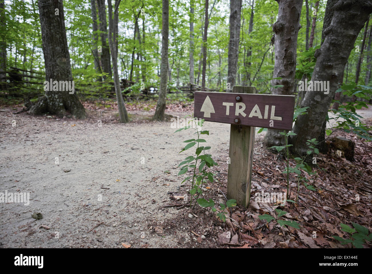 Trail Sign to Lower Cascades Waterfall Hanging Rock State Park in ...