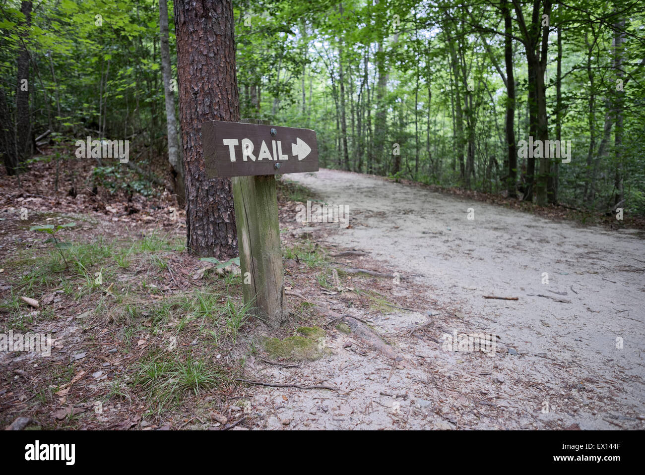 Trail Sign to Lower Cascades Waterfall Hanging Rock State Park in ...